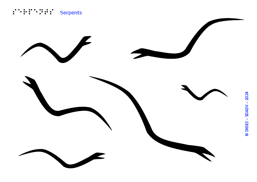 Lecture tactile : longueurs | INSEI